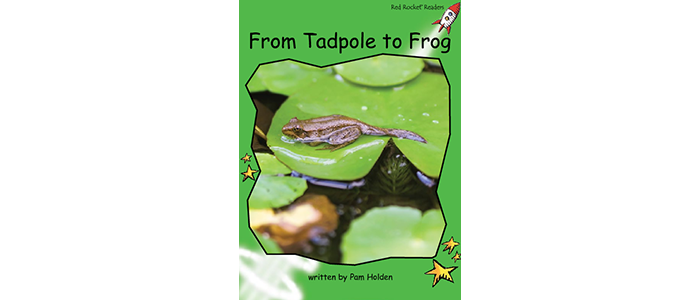 Red Rocket Readers - leveled reading books