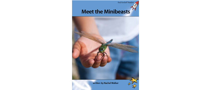 Red Rocket Readers - leveled reading books