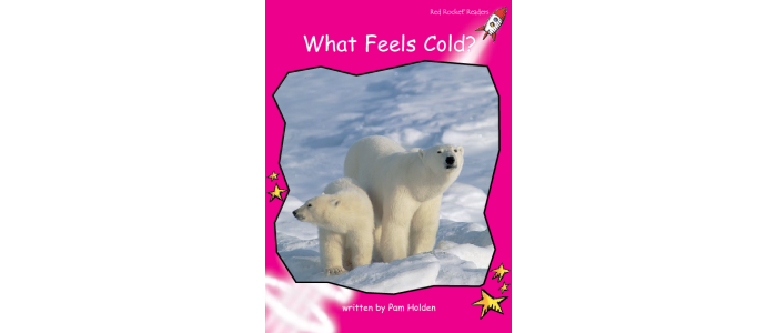 Red Rocket Readers - leveled reading books