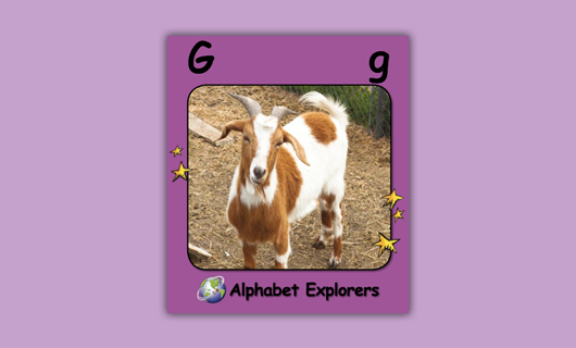 Series Overview - Red Rocket Readers