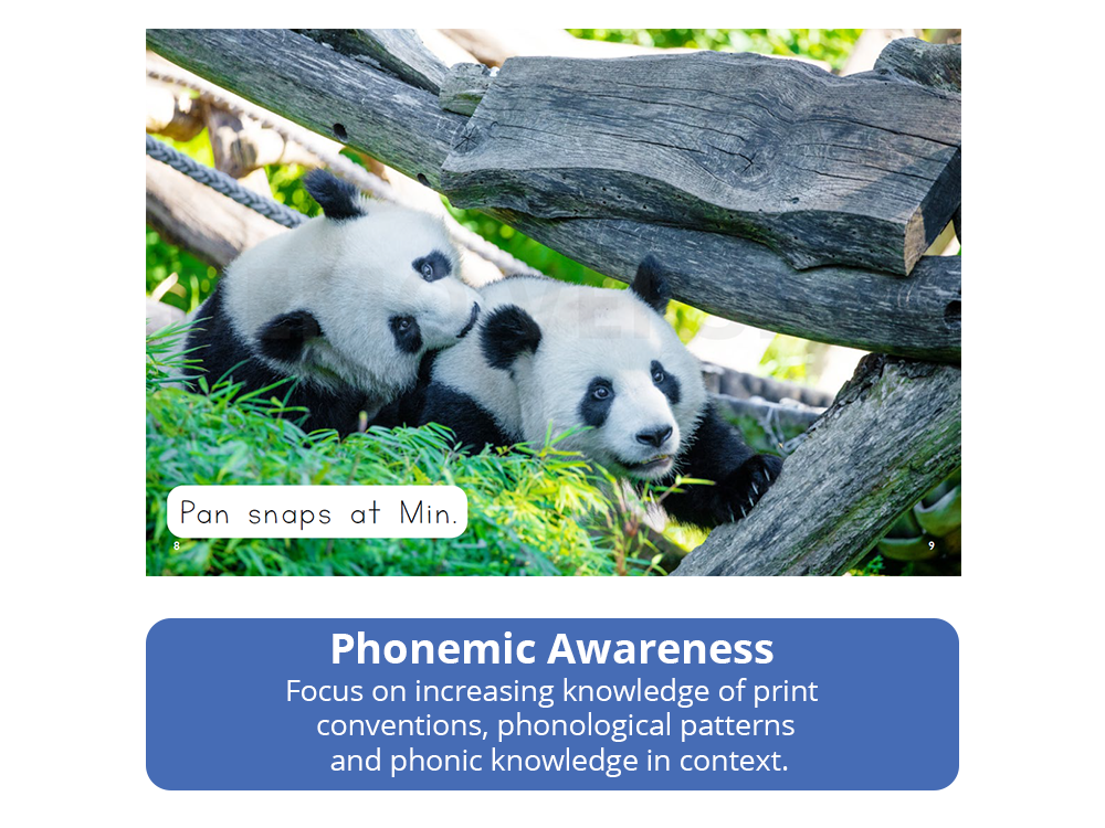 Phonics Overview - Red Rocket Readers